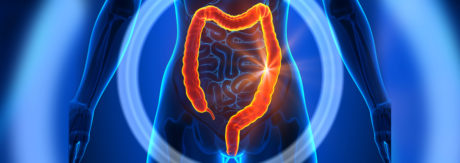Endoscopy procedures|EGD|Colonoscopy|Open Access|XEL | Cary Endoscopy ...